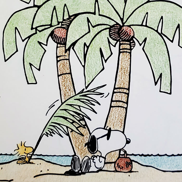 Vacation Planning - CollectPeanuts.com