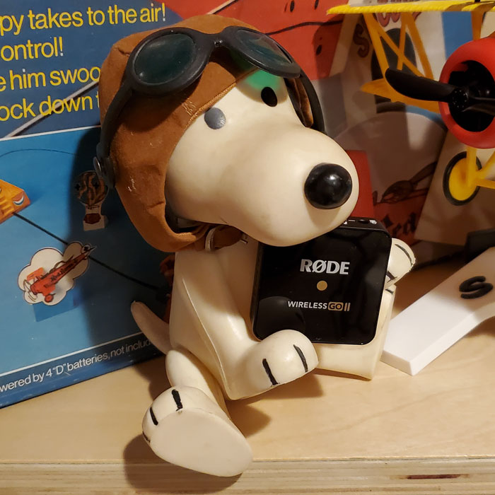 A Sound Investment - CollectPeanuts.com