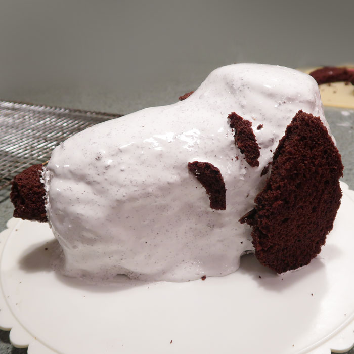 Snoopy Cake Fail - CollectPeanuts.com