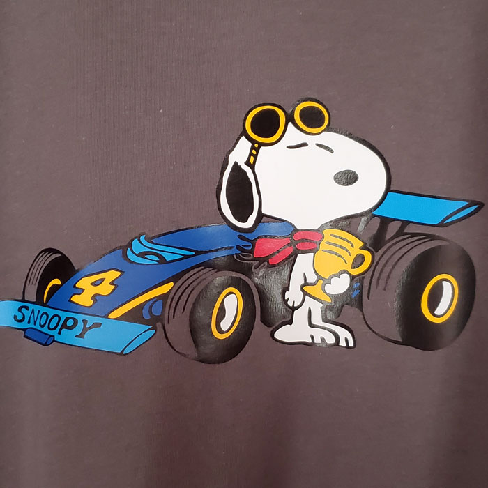 Race Day - CollectPeanuts.com