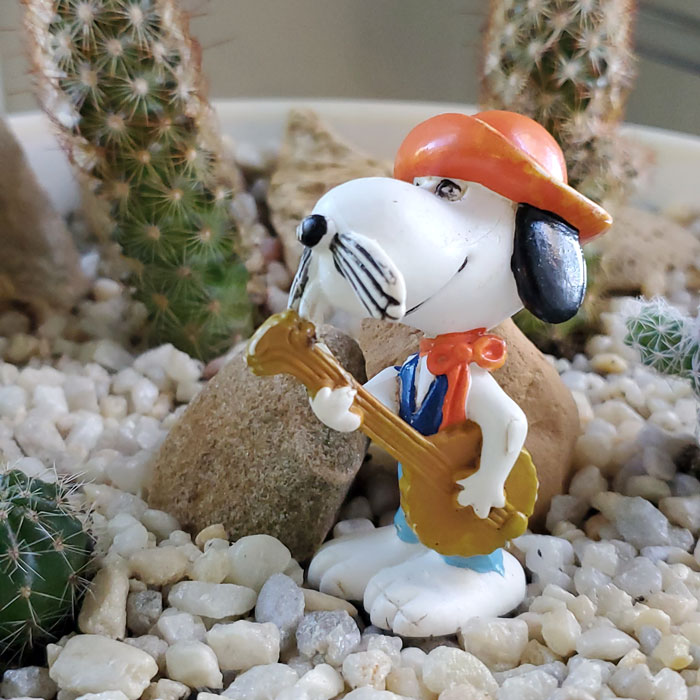 Ready to Rock - CollectPeanuts.com