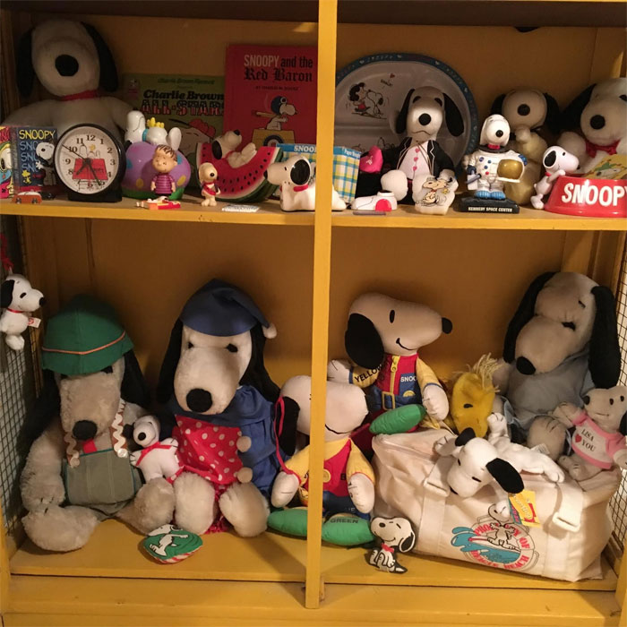 Collections Big and Small - CollectPeanuts.com