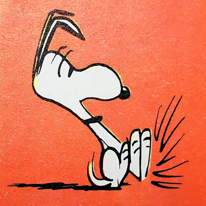 And... STOP! - CollectPeanuts.com