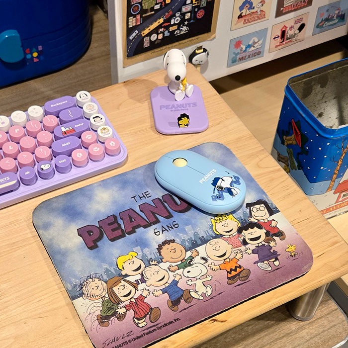 Neat and Tidy! - CollectPeanuts.com