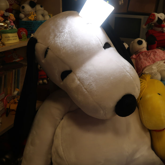 Shine On! - CollectPeanuts.com