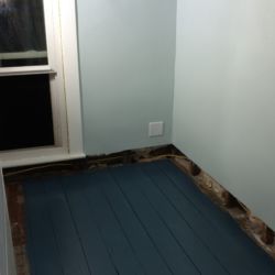 Snoopy Room Tour 2019 - CollectPeanuts.com