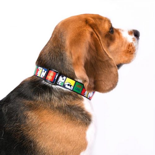 Snoopy Dog Collars & Leashes - CollectPeanuts.com